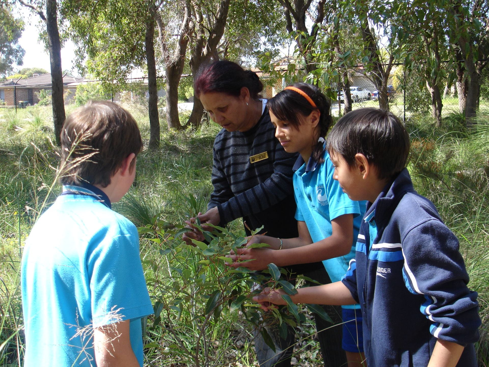 Scootle Lounge – Resources for Australian educators